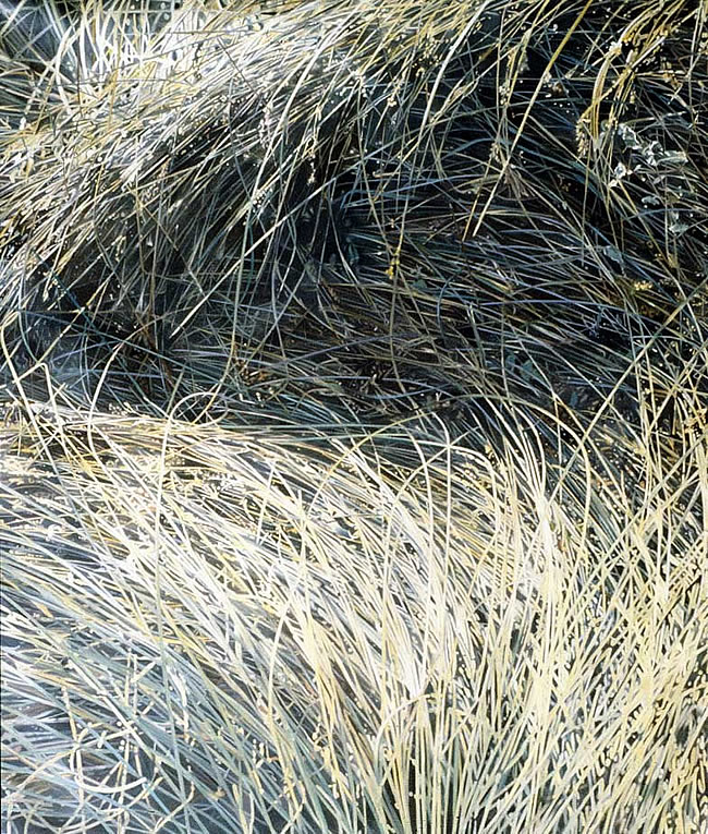 Jacques Bodin, hyperrealists paintings by Jacques Bodin, hyperrealism ...