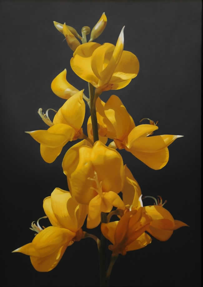 Cesar Yauri, pintor realista peruano, pintores peruanos, pintura ...