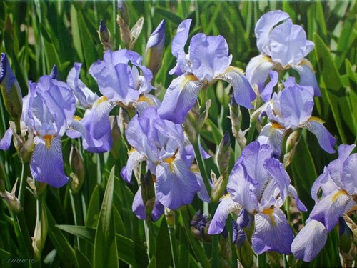 Paintings by Stephen Shub, hyperrealists paintings