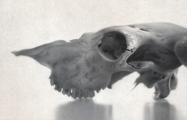 American artist Timothy W Jahn